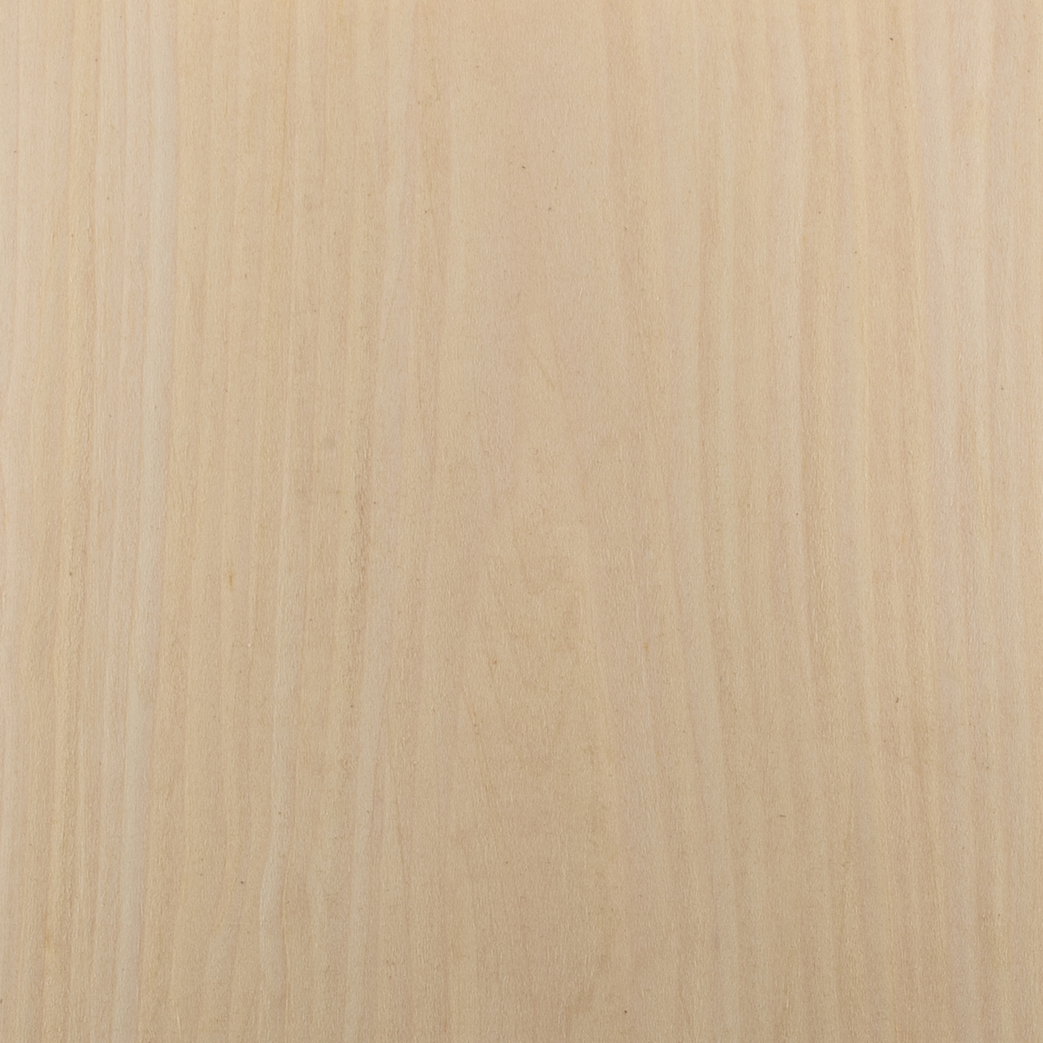 FC Maple White Heitink Architectural Veneer And Plywood