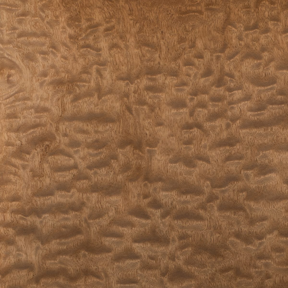 RC Sapele Pommele – Heitink Architectural Veneer and Plywood